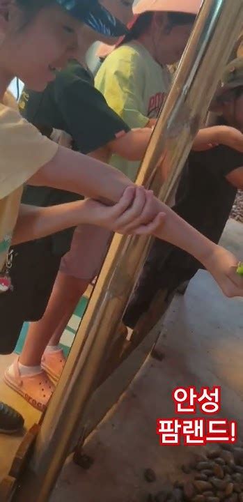 어린이날 여기 추천 새모이주기체험 새모이주기 안성팜랜드 Youtube