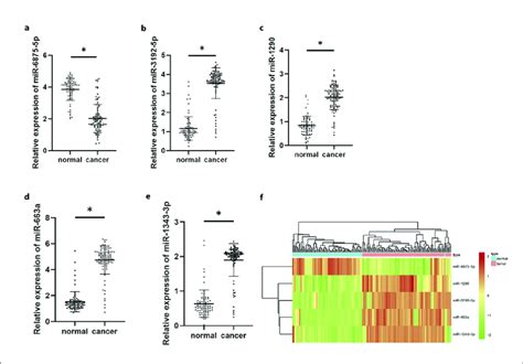 Qpcr And Hierarchical Clustering Analyses Of 5 Feature Mirnas A E