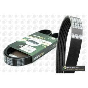 6PK1795 V-Ribbed belt OE number