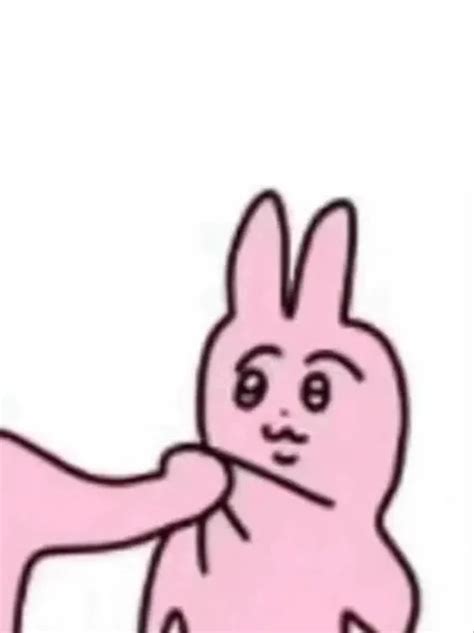 313 Ảnh Meme Thỏ Hồng Hài Hước Độc Đáo Và Ấn Tượng Nhất