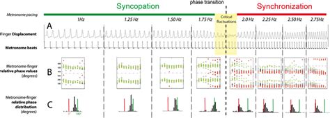 Behavioral Dynamics Of Non Linear Phase Transitions In The
