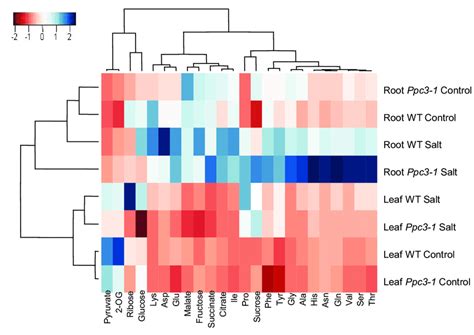 Heatmap Analysis Of Detected Primary Metabolites Heatmap Download Scientific Diagram