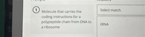 Solved Molecule That Carries Theselect Match Coding