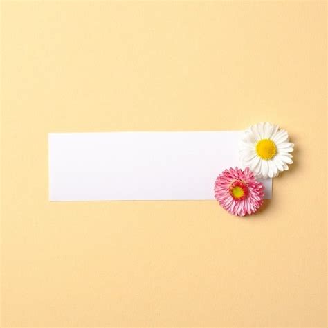 빈지에 분홍색과 흰색 데이지 꽃 두 송이와 노란색 중심