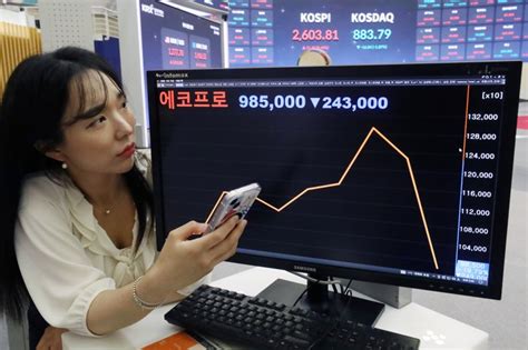 에코프로 다시 100만원 회복급락 후 반등 예측 불허 널뛰기 특징주 파이낸셜뉴스