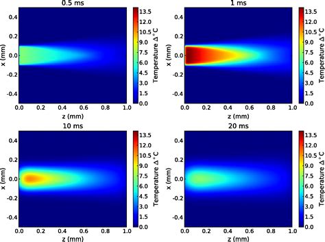 Modeling Of The Temporal Effects Of Heating During Infrared Neural