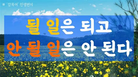 될 일은 되고 안 될 일은 안 된다 세상사 매달리지 마라 강목어 인생편지 31 인생사 세상살이 세상만사 어떻게살것인가 인생이란 살아보니 강목어