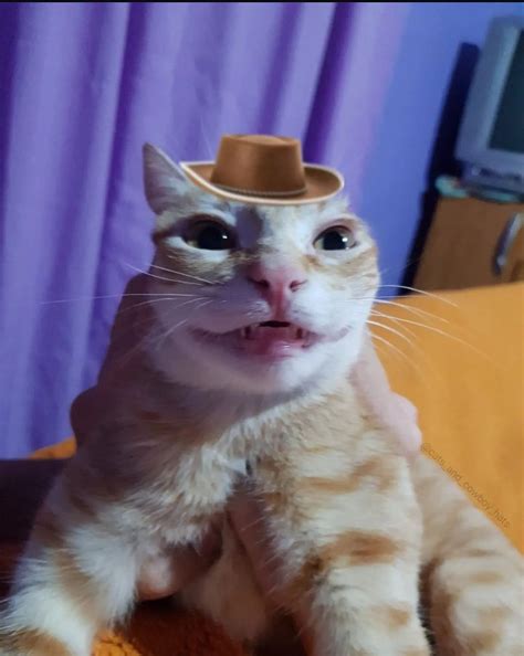 Пирожок С Ничемツ ᶫᵒᵛᵉᵧₒᵤ On Twitter Hapyto6969 Геометрия сосать Twitter