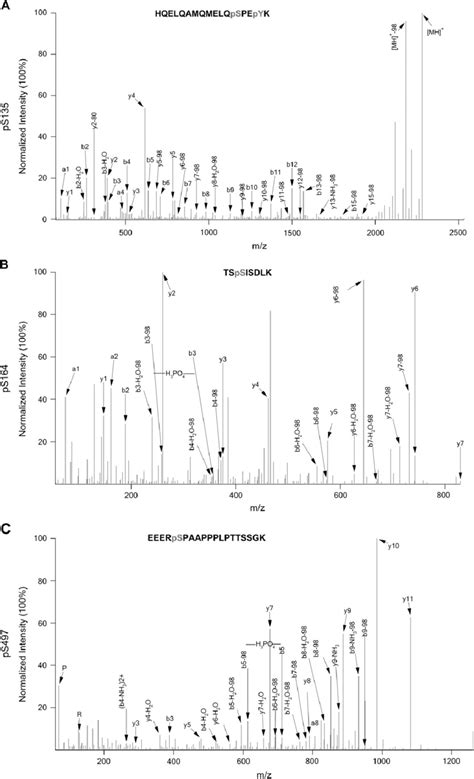 Representative Electrospray Ionization Tandem Mass Spectrometry Spectra Download Scientific