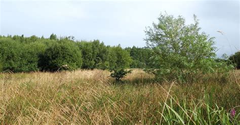 Cumbernauld Villagecumbernauld Glen And Abronhill Ramblers