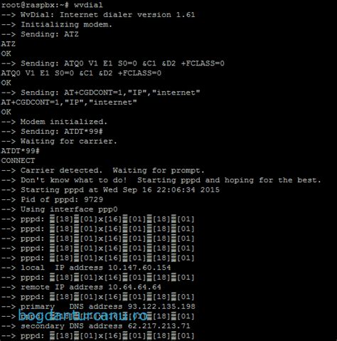 raspberry pi modem 3g conectare la internet bogdan Țurcanu