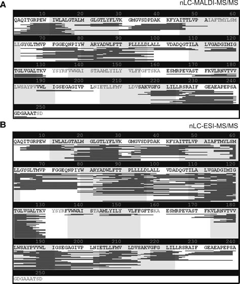 Br Sequence Coverage Display Identified Peptide Locations Are Download Scientific Diagram