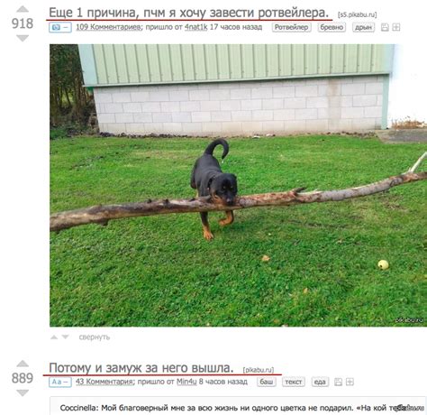 Совпадение | Пикабу