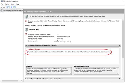 License Server