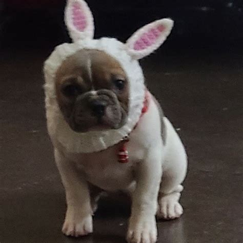 Tin Man Funnel Hat Tin Man Costume Tin Man Cosplay Costume Accessory Halloween Costume Oil