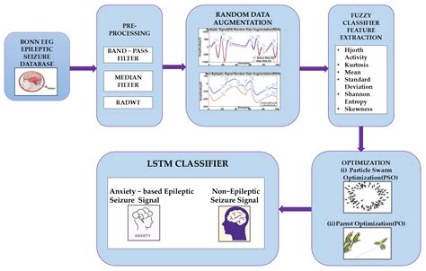 Brain Sciences Free Full Text Detection Of Anxiety Based Epileptic Seizures In Eeg Signals