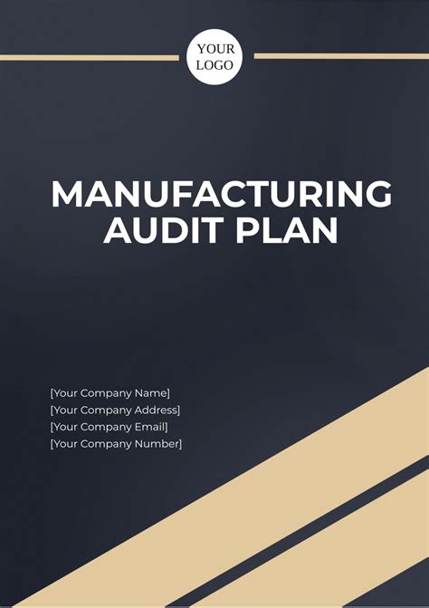 Free Audit Plan Templates Editable And Printable