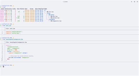 Nvim Lazynvim And Catppuccin Theme Rneovim