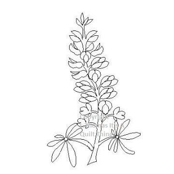 Bluebonnet Drawing Black And White