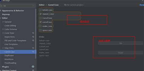 记一次使用idea插件camelcase技巧 两碗白米饭 博客园
