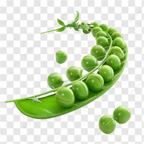 흰색 배경에 고립 된 녹색 완두콩 신선한 채소 완두콩 Png 일러스트 및 이미지 에 대한 무료 다운로드 Pngtree