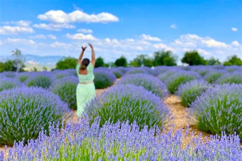 Лавандовые поля Памуккале Каппадокия 8 дней красоты 07 14 июня · отдых по цене от 156 800
