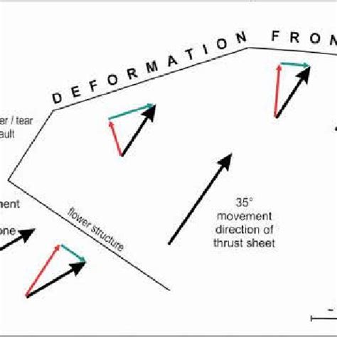 Simplified Sketch Showing Strain Partitioning At Frontal And Rear Download Scientific Diagram