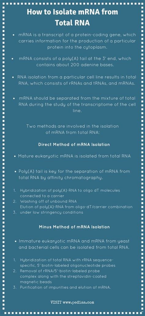 How To Isolate Mrna From Total Rna Pediaa Com