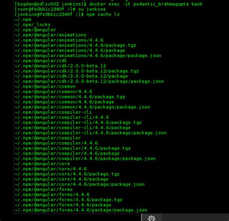 How To Enable The Npm Cache In A Jenkins Build Slave That Runs In Docker DevOps Stack Exchange