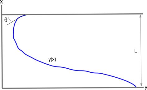Differential Equations Solving And Plotting Derivative Included