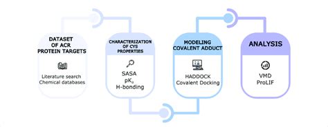 Schematic Representation Of The Computational Workflow Used In This
