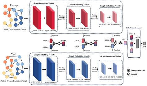 Mvmsgat Integrating Multiview Multi Scale Graph Convolutional Networks With Biological Prior