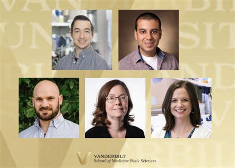 Celebrating Recent Appointments And Promotions In The School Of