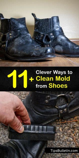 Cleaning Moldy Shoes Easy Guide To Remove Mold From Shoes