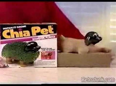 Ch Ch Ch Chia Youtube