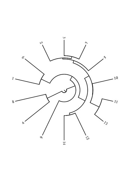 does anyone have an idea about the phylogenetic analysis of ssr allelic