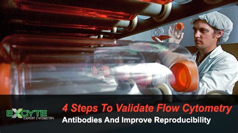 4 steps to validate flow cytometry antibodies and improve