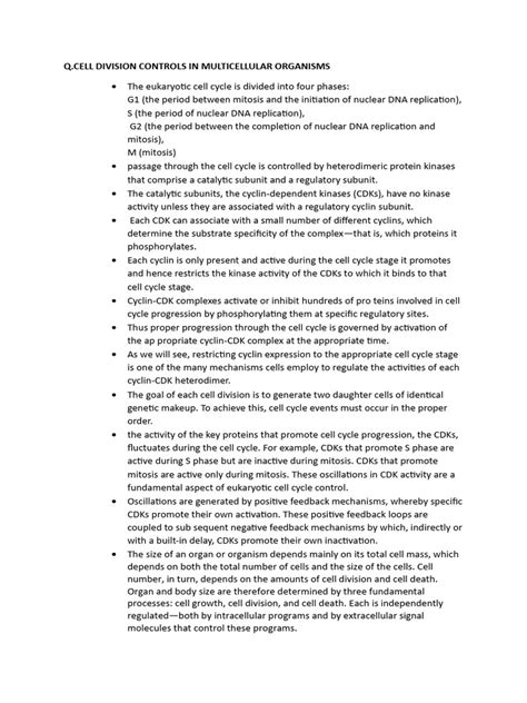 cell cycle notes word docs pdf cell cycle apoptosis