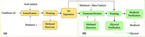 Biodiesel Production Pathway Using Two Step Transesterification Method Download Scientific