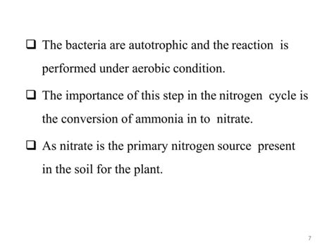 Nitrification Process Pptx Chemistry Science
