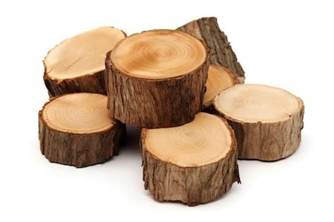 How To Split A Header Into Two Sections In Word A Step By Step Guide AP PGECET