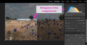 How To Correctly Use The Lightroom Histogram