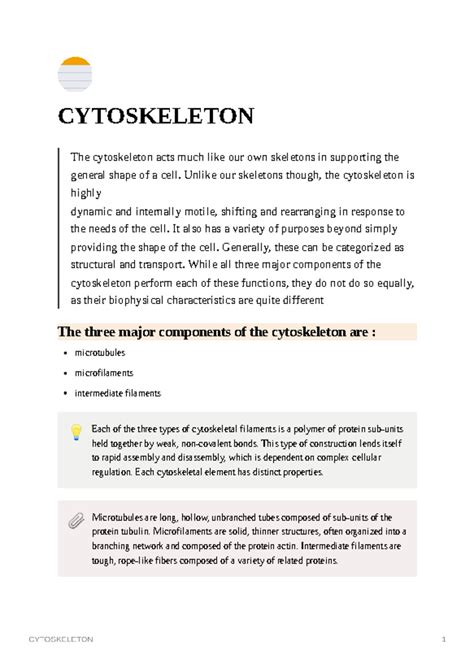 Cytoskeleton Lecture Notes Semester Ii Cytoskeleton The Cytoskeleton Acts Much Like Our Own