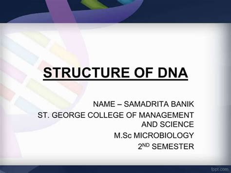 Polycistronic And Monocistronic Rna Pptx