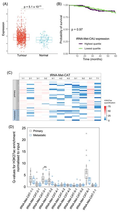 Selection Of Trna Genes In Human Breast Tumours Varies Substantially Selection Of Trna Genes In Human Breast Tumours Varies Substantially