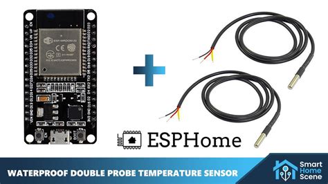 Waterproof Double Probe Temperature Sensor With An Esp32 Rhomeassistant