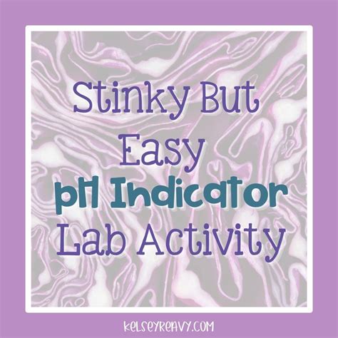 Super Easy Acid Base Lab For High School Chemistry Kelsey Reavy
