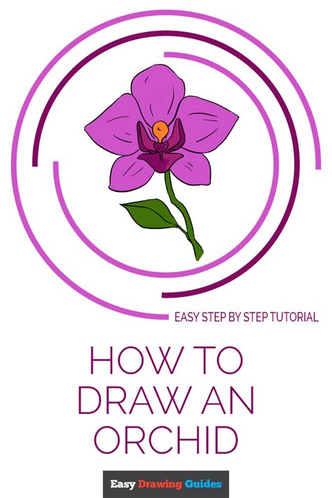 How To Draw A Beautiful Orchid Really Easy Drawing Tutorial