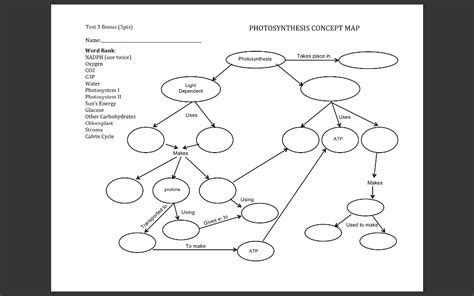 Solved Test 3 Bonus 5pts Photosynthesis Concept Map Name