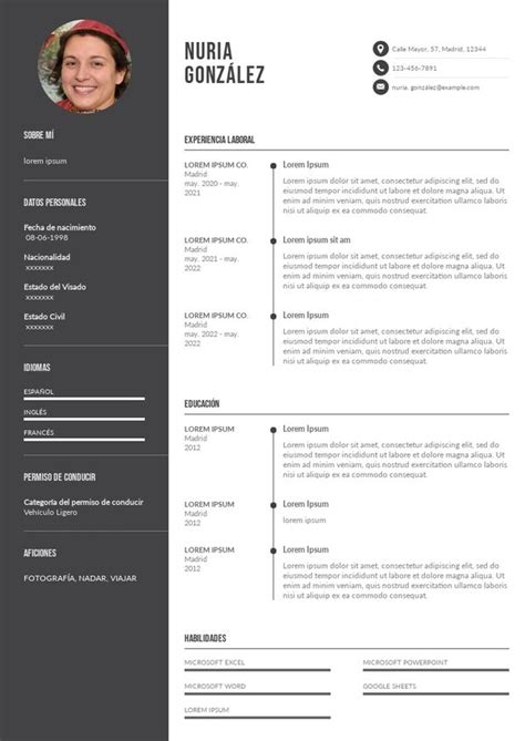 Cv Desarrollador De Software Guía De Redacción Completa